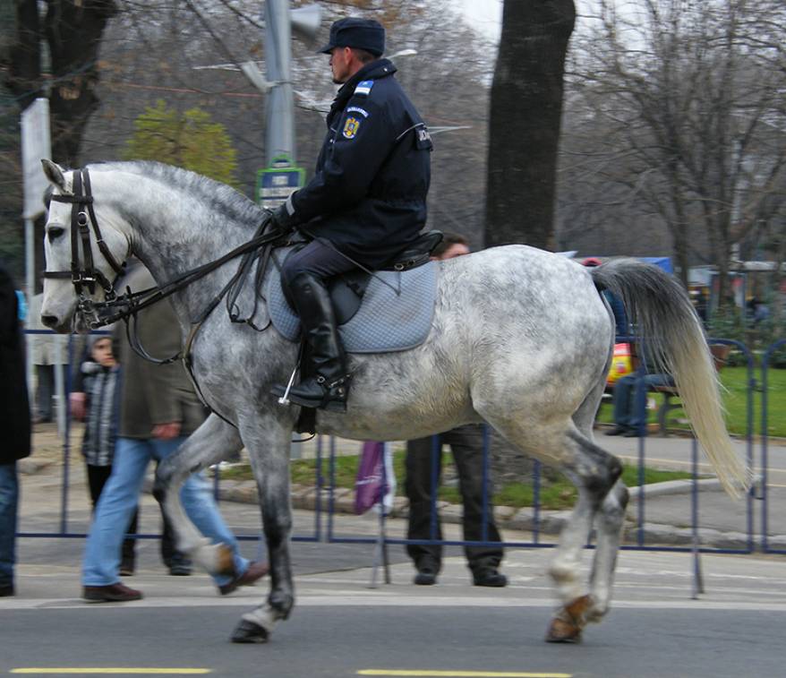BUCUREȘTI: Peste 100 de jandarmi asigură paza marșurilor organizate de ...