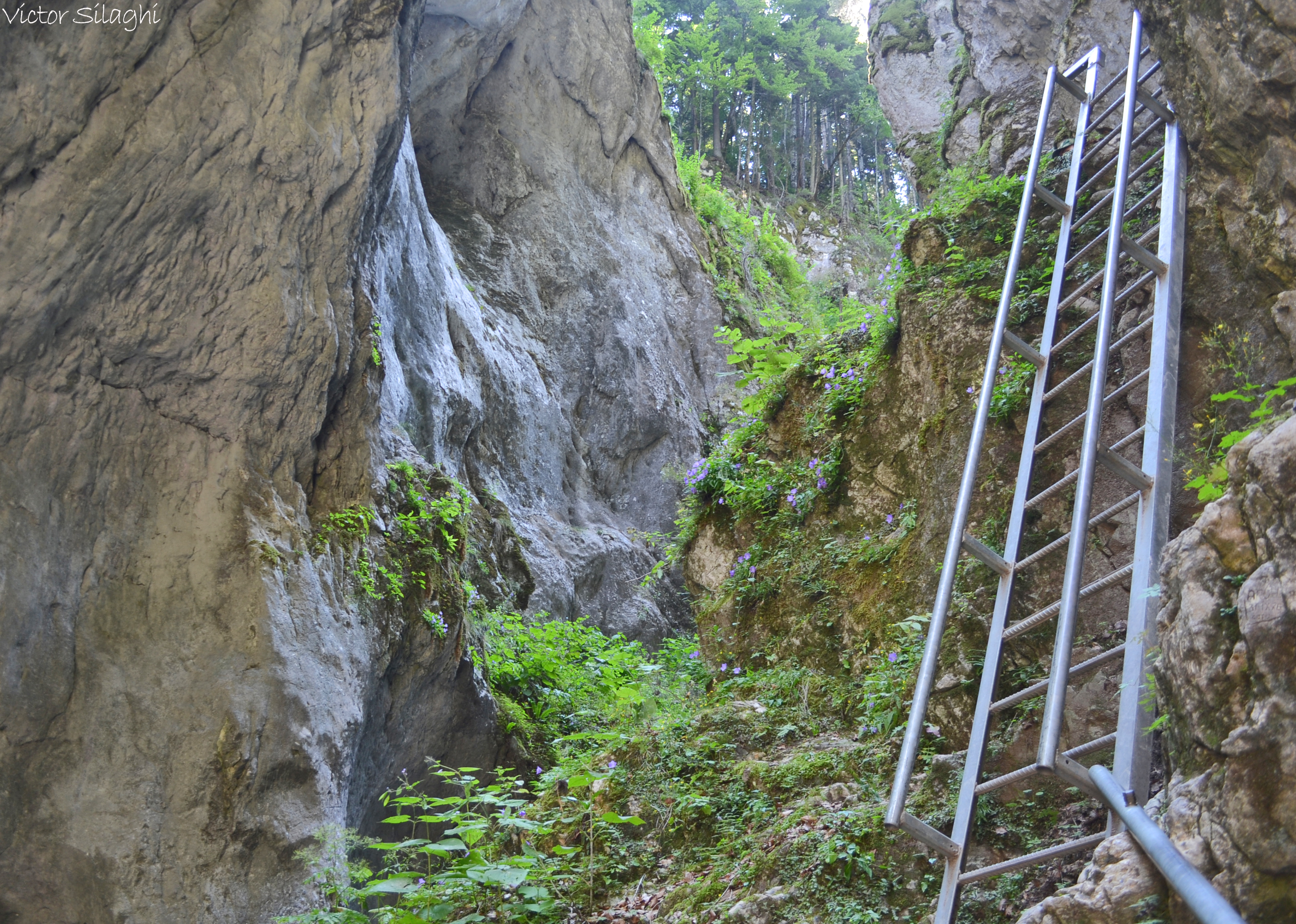 RomâniaFrumoasă:‬ Descoperă Canionul Şapte Scări şi Cabana Piatra Mare ...