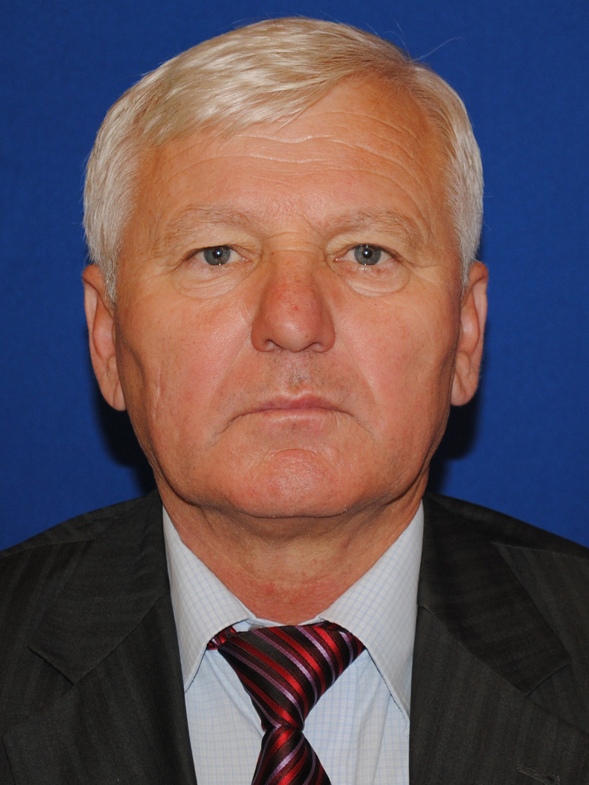 Deputat PSD: Partidul trebuie condus de un lider fără probleme cu ...