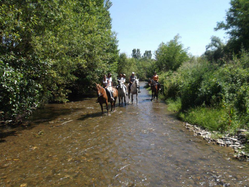 Excursii ecvestre pe cărări de munte : Europa FM