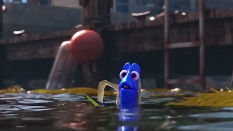 A fost lansat trailerul animaţiei Finding Dory : Europa FM