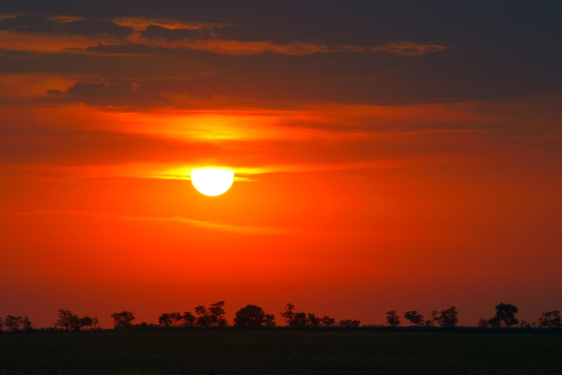 Ziua mondială a Soarelui – GALERIE FOTO : Europa FM