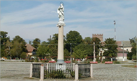 Oraș sau comună? Localnicii din Ciacova, județul Timiș, chemați ...