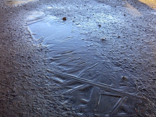 Avertizare de polei pentru 10 judeţe şi Capitală : Europa FM