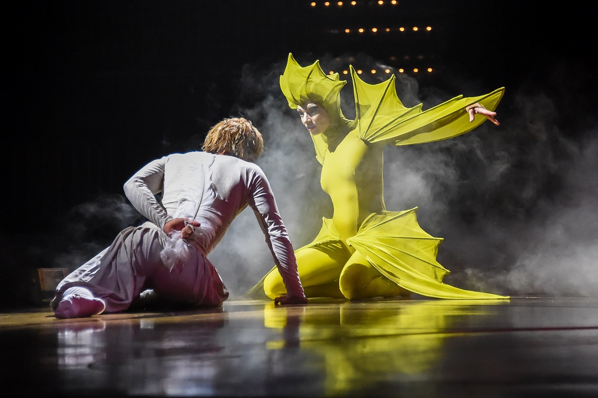Varekai, spectacolul cu care Cirque du Soleil revine la București ...
