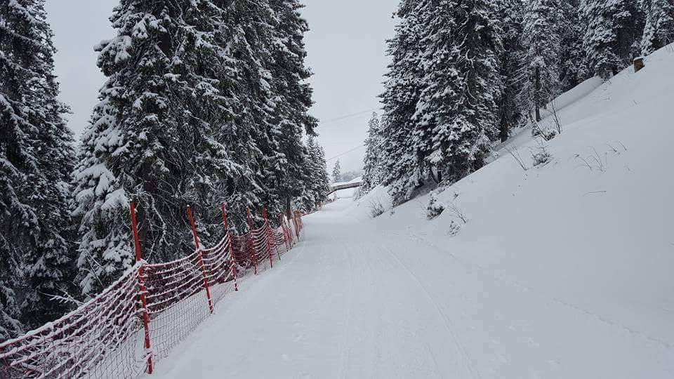 Salvamontiștii au lansat o campanie de informare pentru prevenirea accidentelor | AUDIO : Europa FM