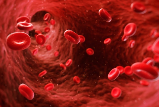 8 mai, ziua de conştientizare a talasemiei : Europa FM