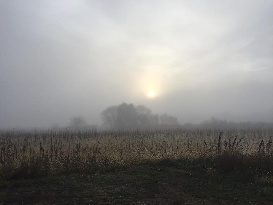 ANM: Zone din cinci judeţe, vizate de o avertizare cod galben de ceaţă ...