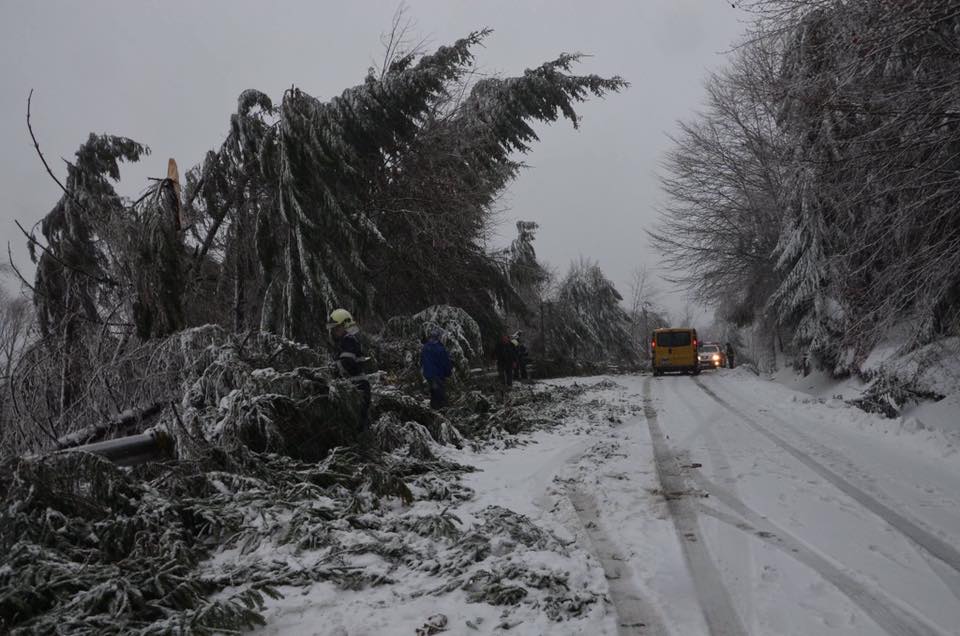 Vântul puternic a doborât copaci pe carosabil în Hunedoara și a lăsat ...