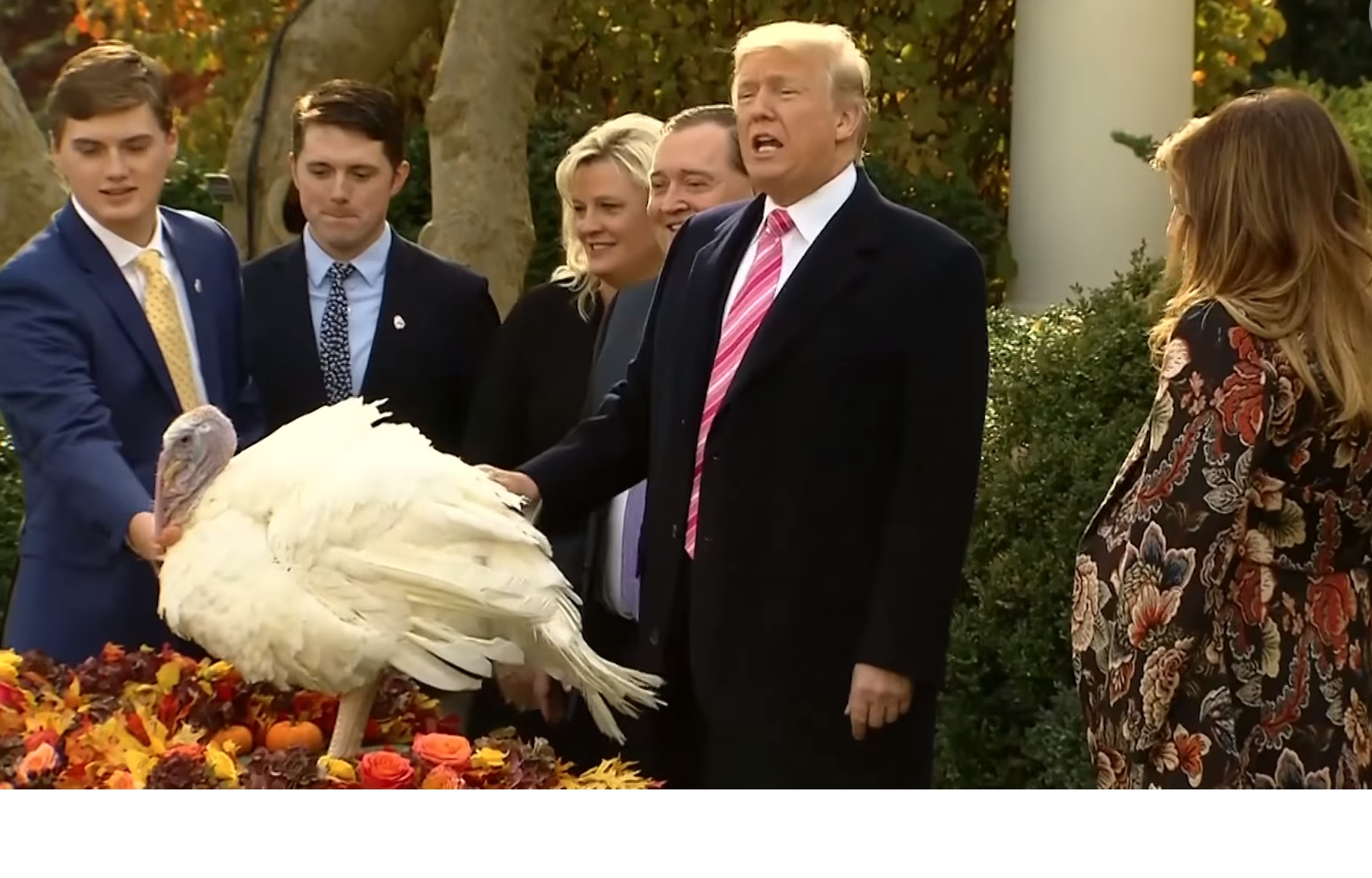 Donald Trump a grațiat doi curcani înainte de Ziua Recunoștinței ...