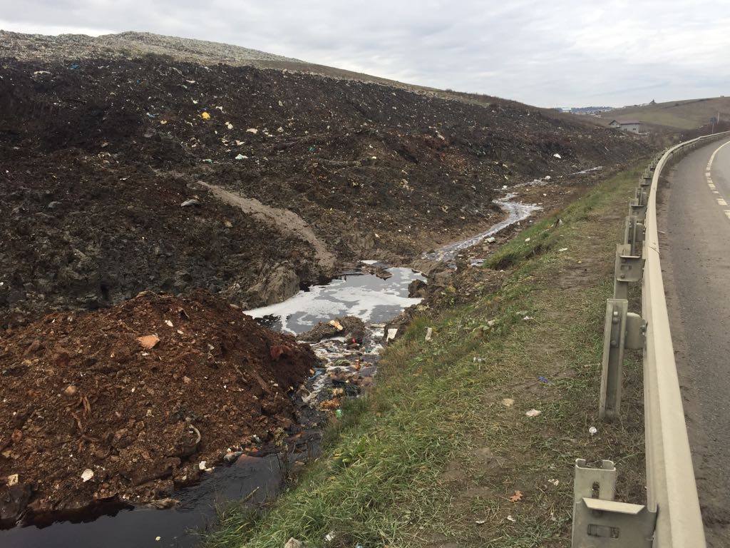 CLUJ: O nouă amendă pentru Pata Rât : Europa FM