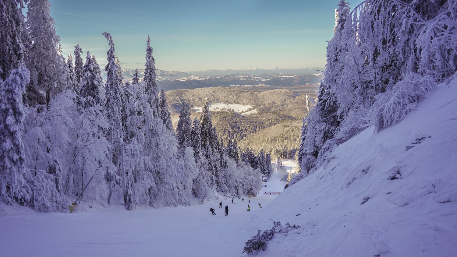 Pe schiuri în Vârful Postăvarul, la început de 2019 – GALERIE FOTO ...