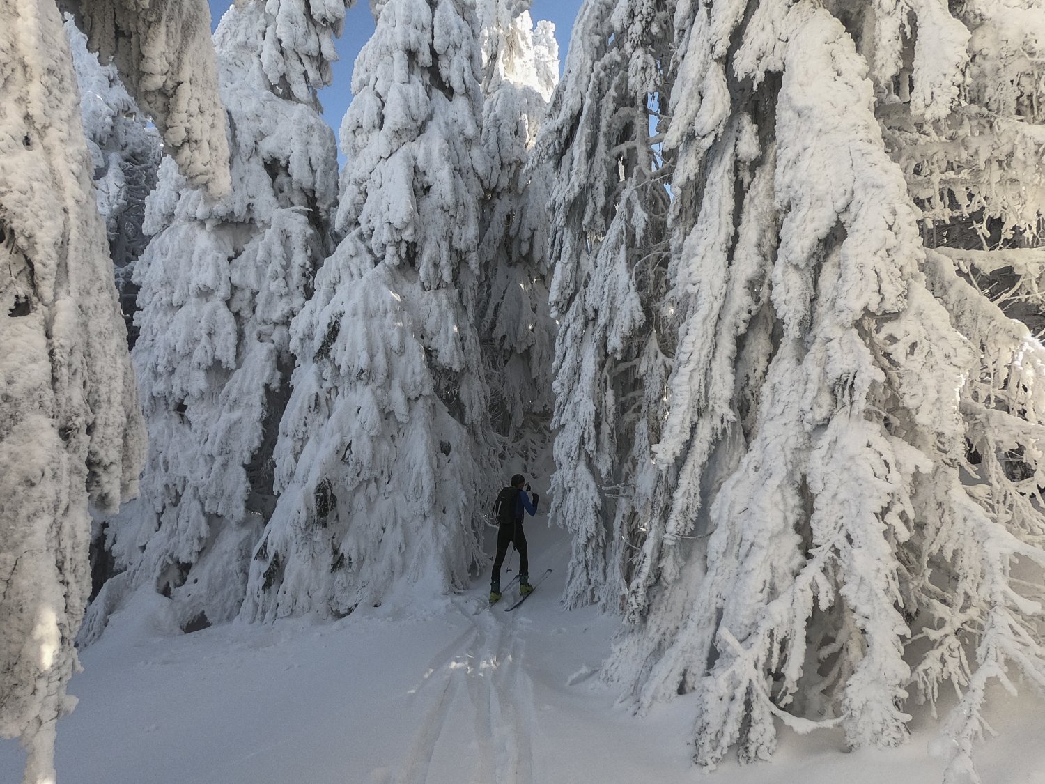 Pe schiuri în Vârful Postăvarul, la început de 2019 – GALERIE FOTO ...