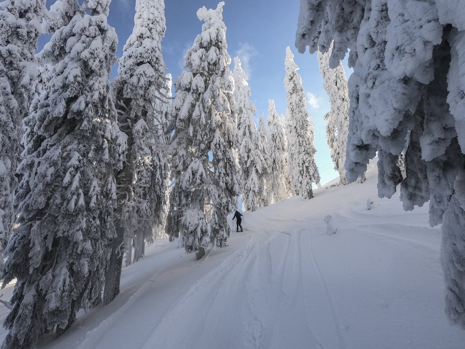 Pe schiuri în Vârful Postăvarul, la început de 2019 – GALERIE FOTO ...