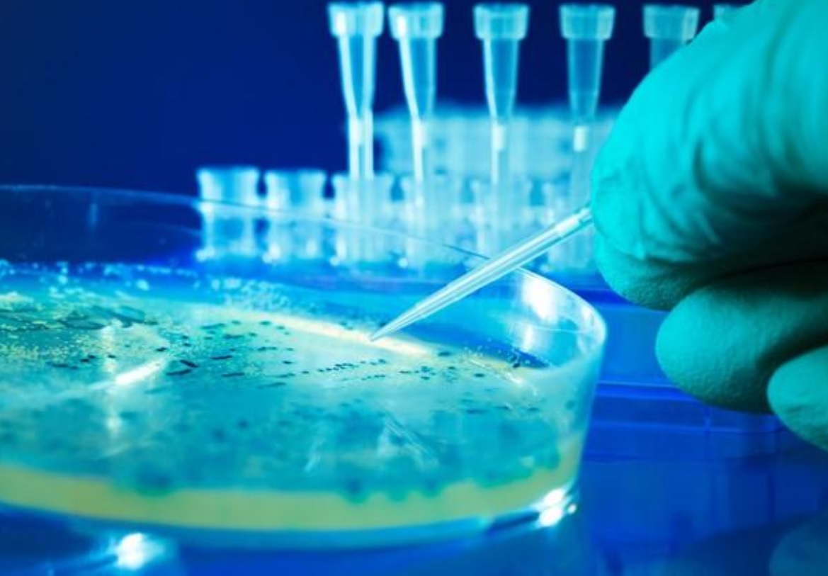 GERMANIA: Primele testări la scară largă pentru depistarea anticorpilor ...