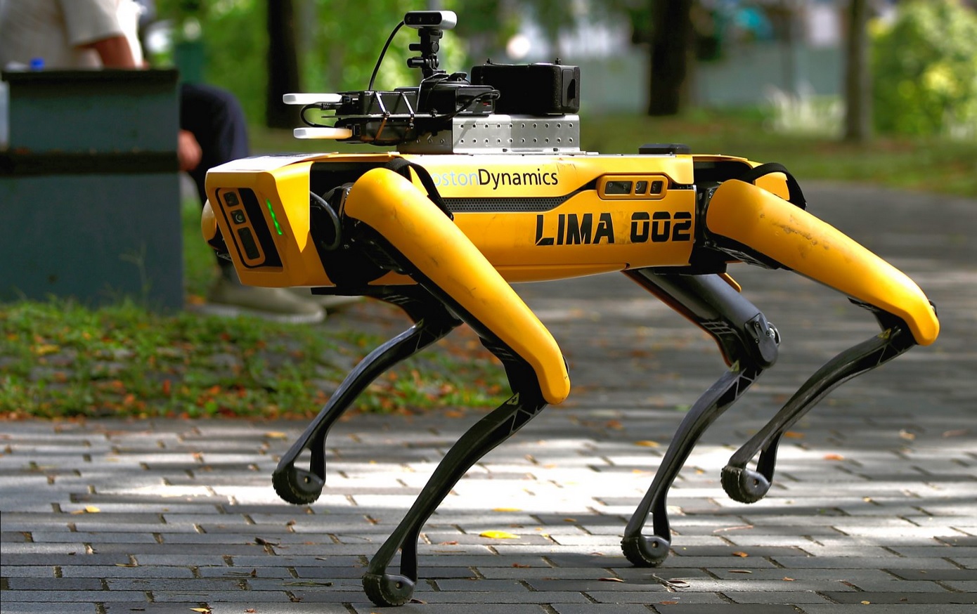 Un câine-robot veghează la respectarea distanţării sociale într-un parc ...