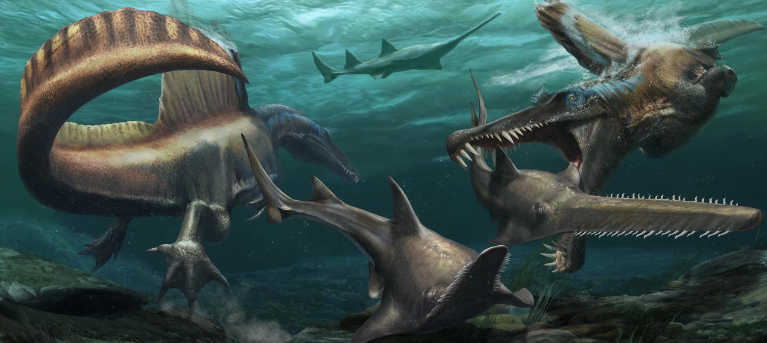 Cercetătorii au descoperit primele fosile ale unui dinozaur înotător ...