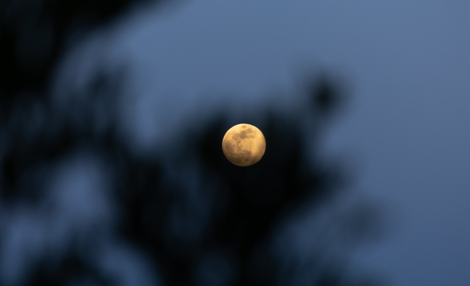 Ultima Super Lună a anului | VIDEO : Europa FM