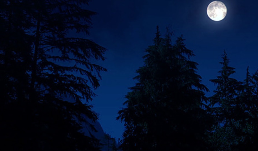 Argeș: Doi copii și patru adulți au rămas blocați în cursul nopții într ...