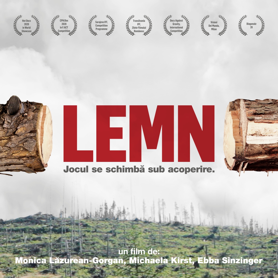 Documentarul ”Lemn”, despre lemnul care dispare constant din păduri, se ...