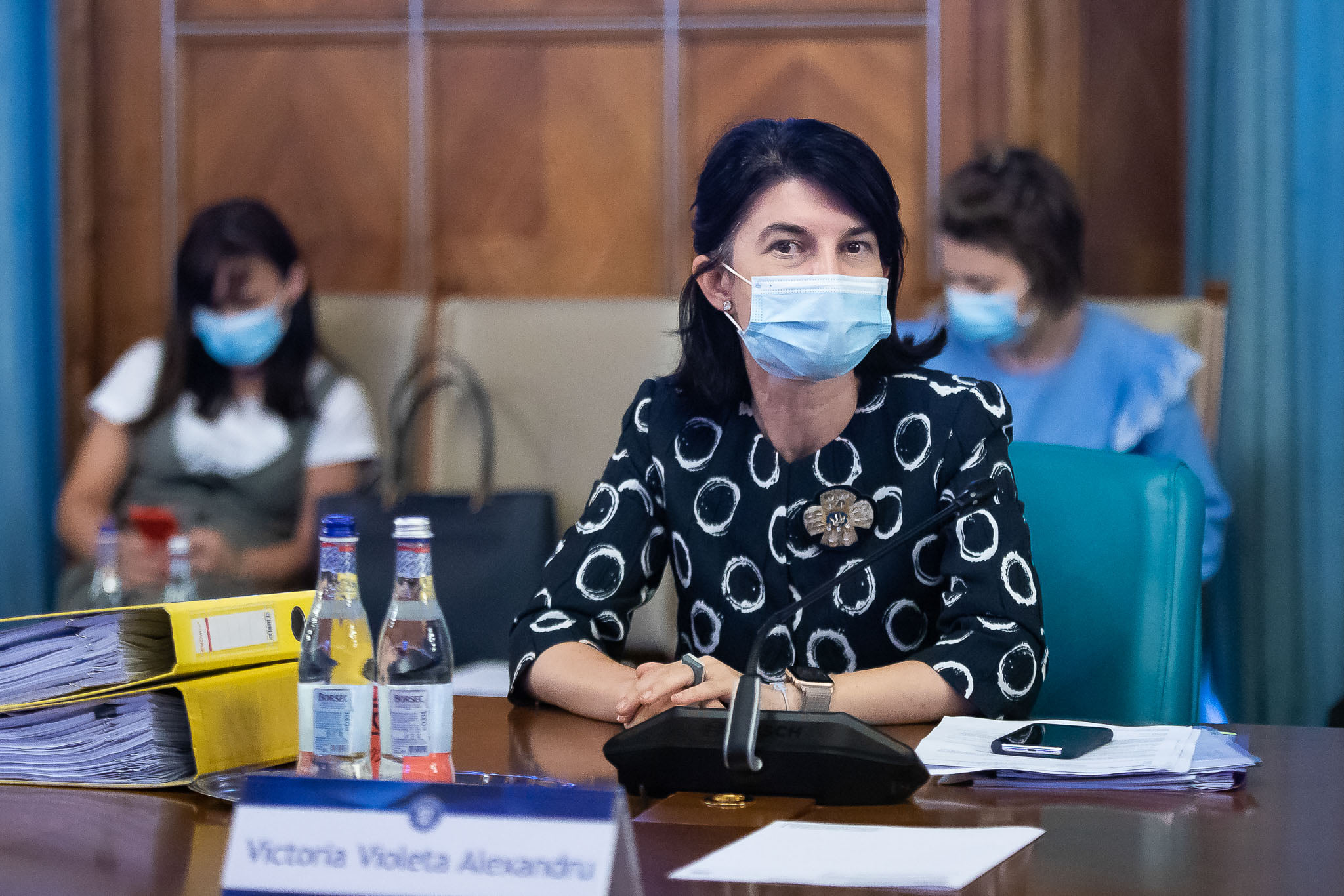 Violeta Alexandru, fost ministru al Muncii, a publicat o listă cu 50 de ...