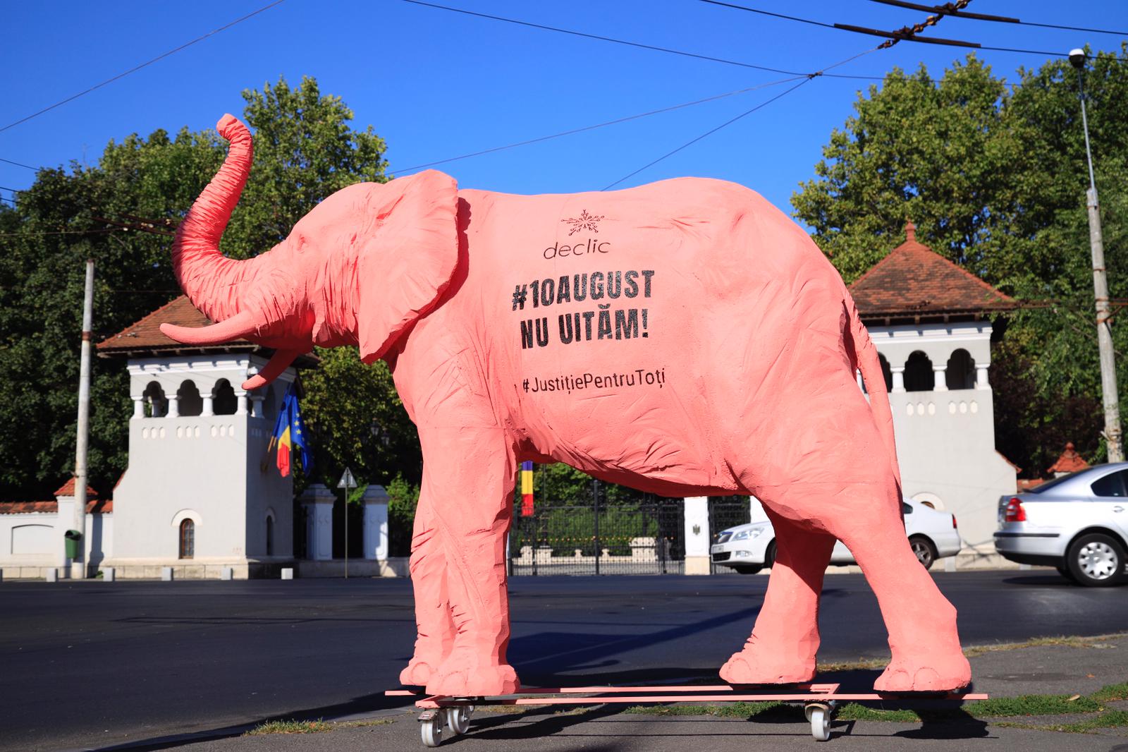 Elefantul roz, azi la toate instituțiile implicate în ancheta 10 August ...