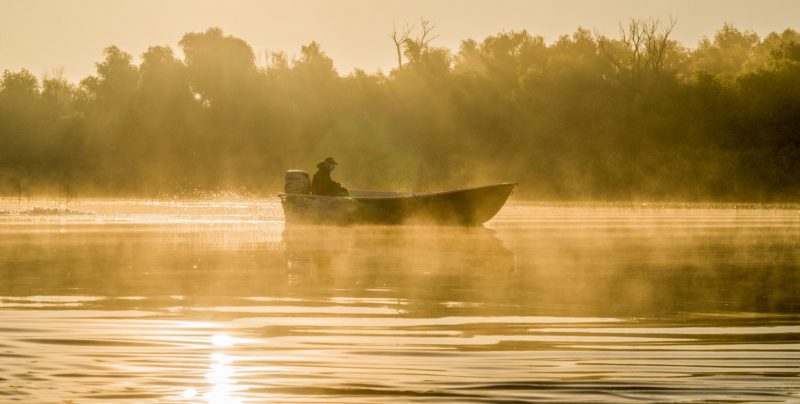 Răsărit în Delta Dunării | GALERIE FOTO : Europa FM