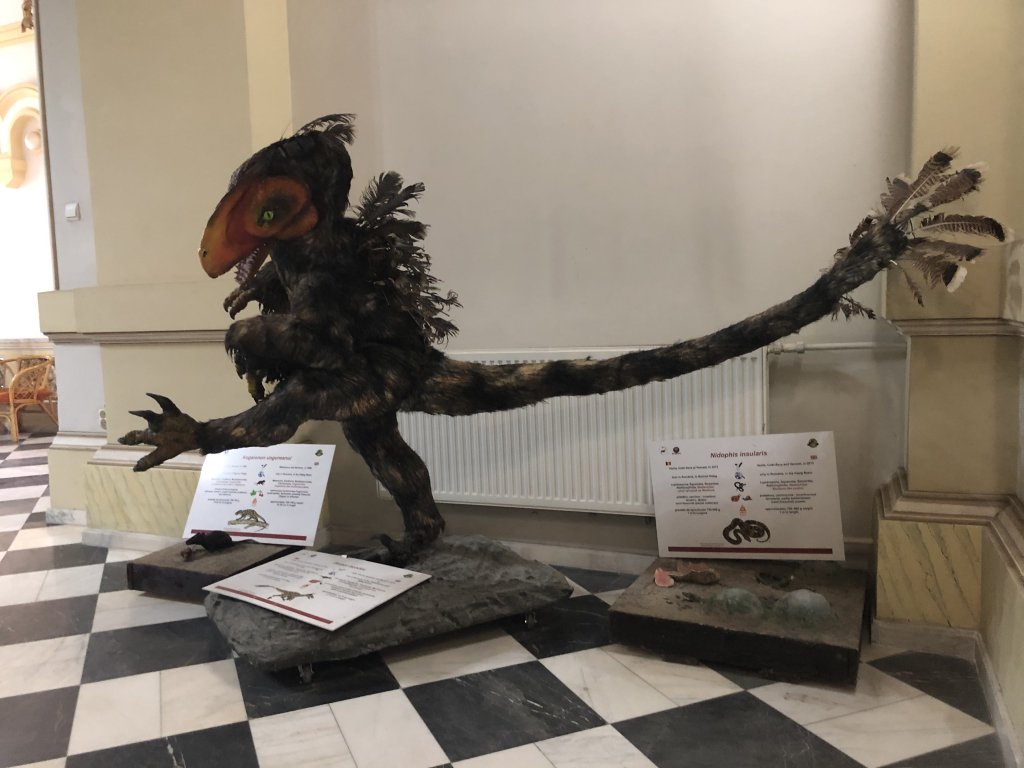 Obiecte cu poveste: Balaurul bondoc : Europa FM