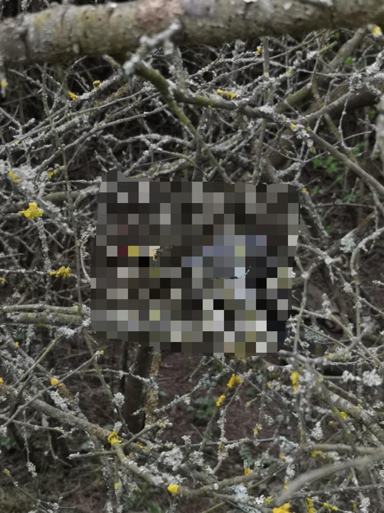 Cadavru descoperit pe un câmp din județul Arad : Europa FM