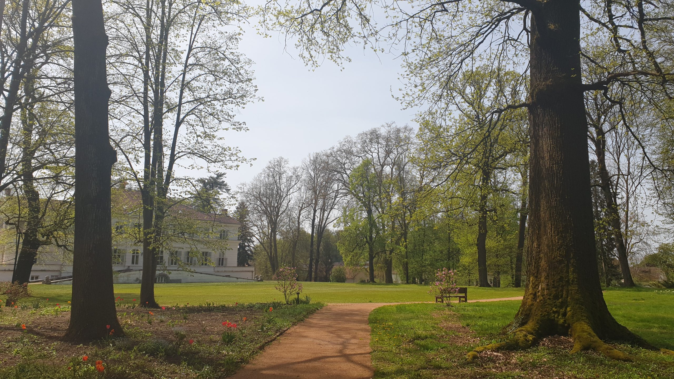 Domeniul Regal de la Săvârșin, vizitat de sute de oameni în primele ...