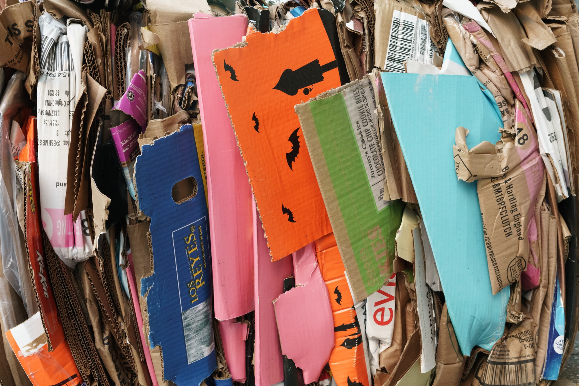 Reciclarea hârtiei înseamnă economii : Europa FM