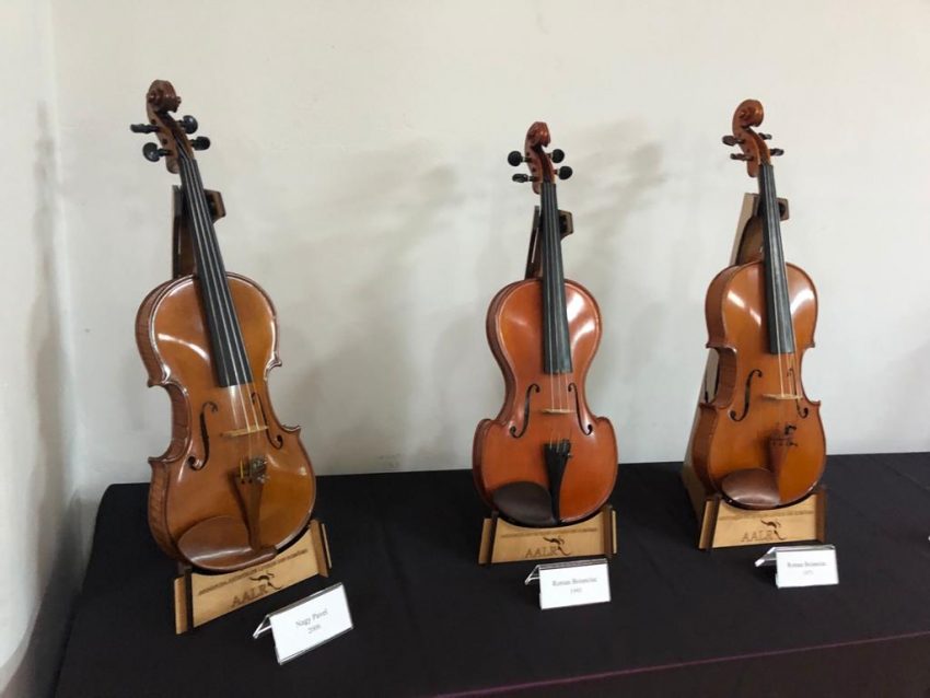 70 de ani de la realizarea primei viori la Reghin / Fotoreportaj ...