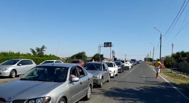 DSP Arad nu mai face față amenzilor pe care le emite pentru cei care nu ...