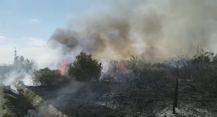 Pompieri din patru județe încearcă să stingă un incendiu violent din ...