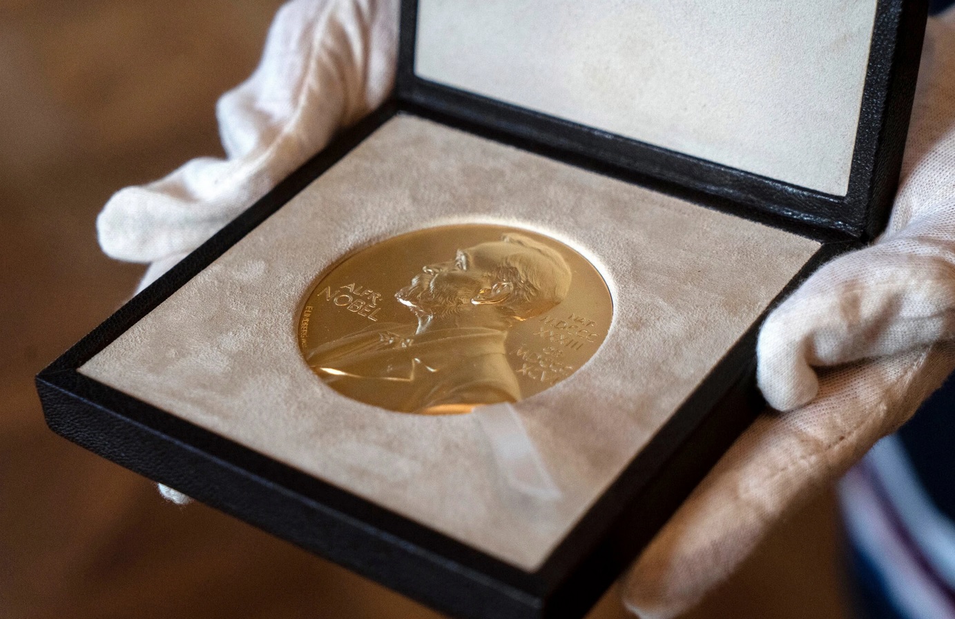 Nobel 2021: Premiul pentru Pace, acordat unei jurnaliste din Filipine ...