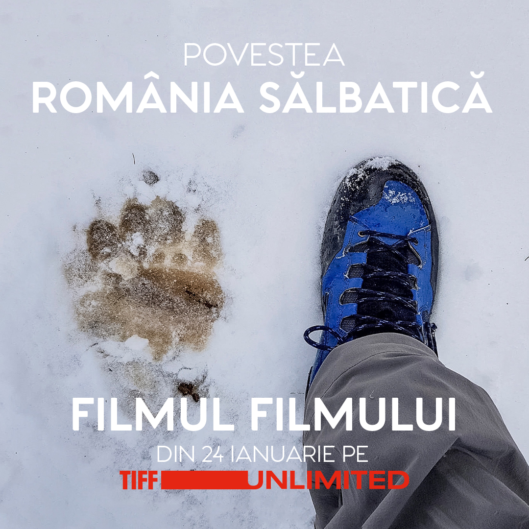 Povestea România Sălbatică: ”Sunteți parte din această aventură, care ...