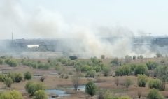 Radio Europa FM LIVE – Ascultă online radio Europa FM : Europa FM