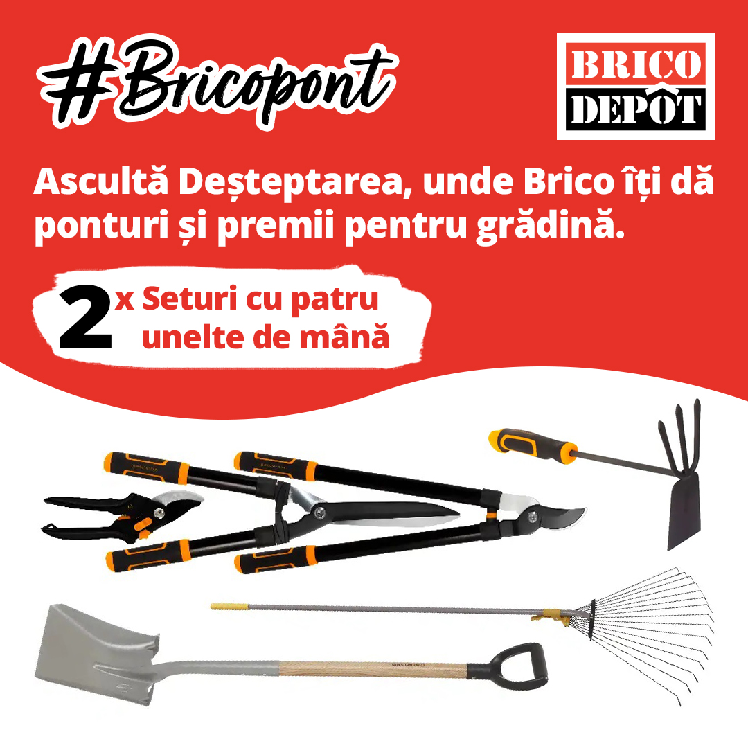 Brico Depot | Idei și inspirație pentru grădina ta: Cele mai ...