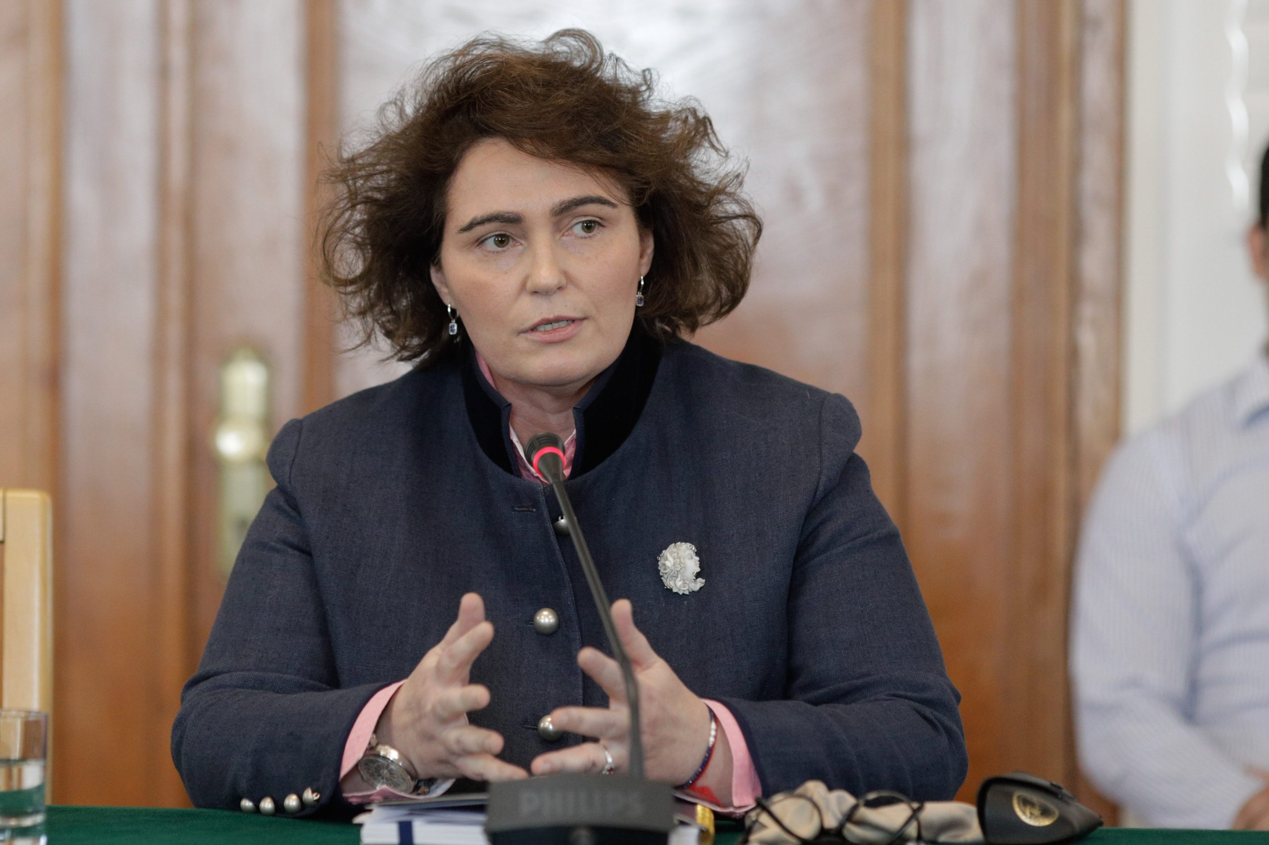 Iulia Scântei, după vot: Îmi voi folosi atribuțiile pentru a consolida ...