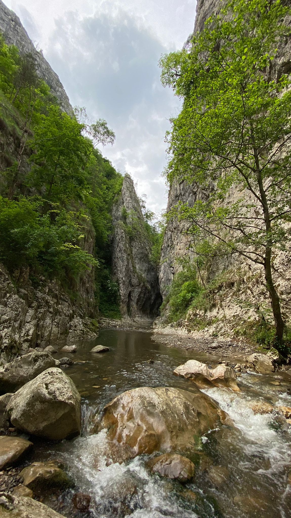 Cheile Râmețului, un spectacol al naturii | GALERIE FOTO : Europa FM