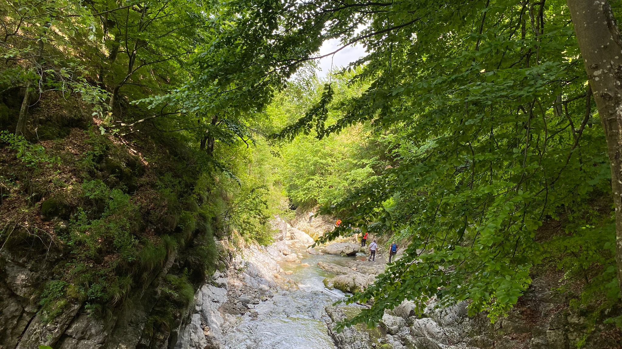 Cheile Râmețului, un spectacol al naturii | GALERIE FOTO : Europa FM