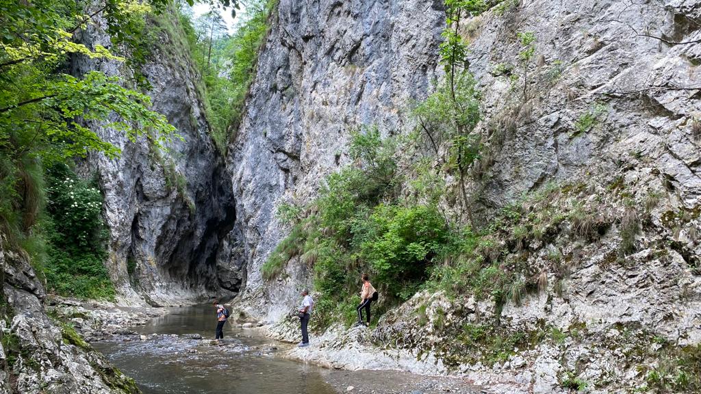 Cheile Râmețului, un spectacol al naturii | GALERIE FOTO : Europa FM