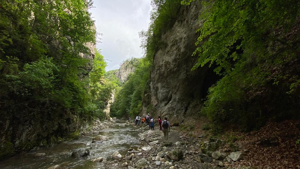Cheile Râmețului, un spectacol al naturii | GALERIE FOTO : Europa FM