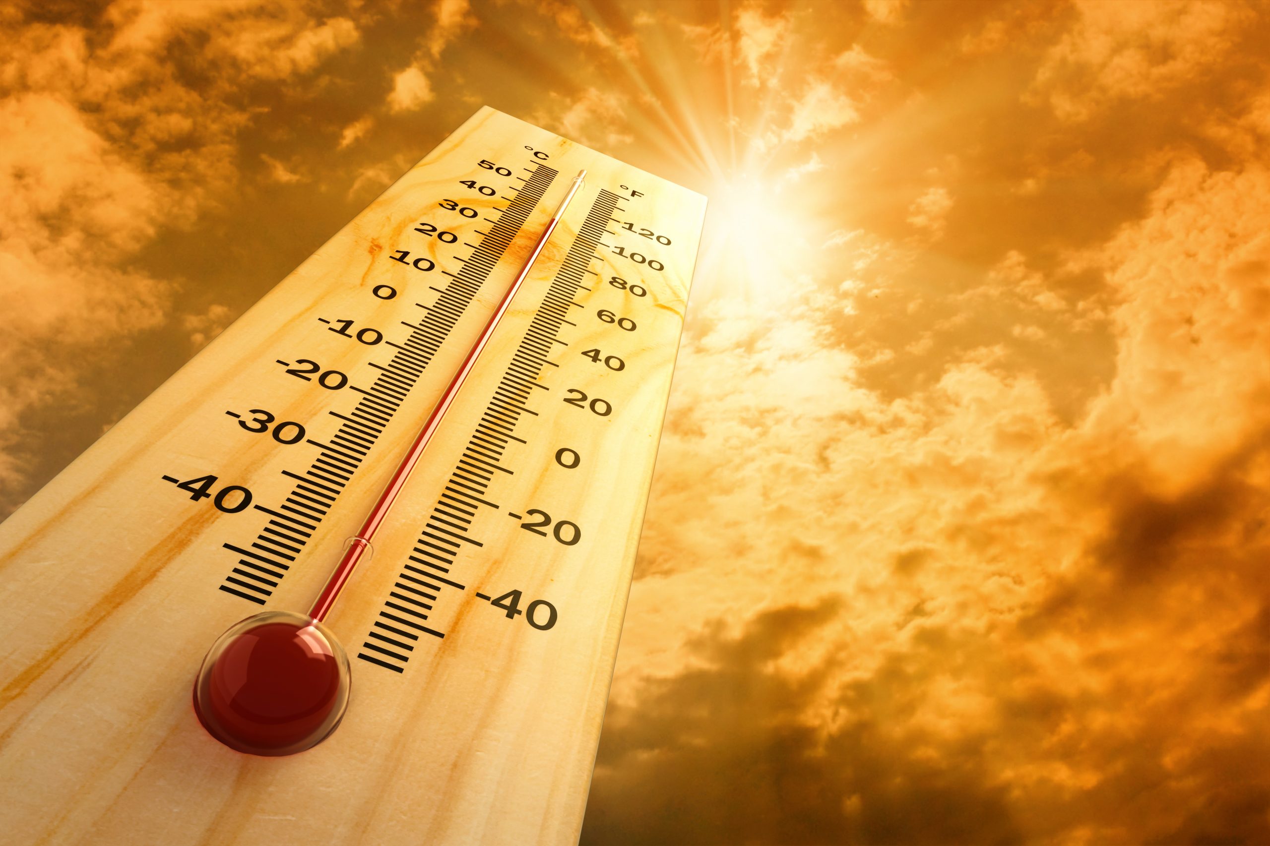 Spania, lovită de un val de căldură extremă. Temperaturi de peste 40 de ...