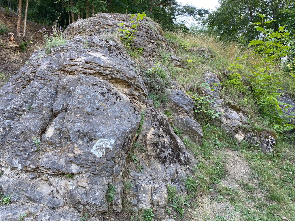 Dealul cu melci, o istorie de 70 de milioane de ani | GALERIE FOTO ...