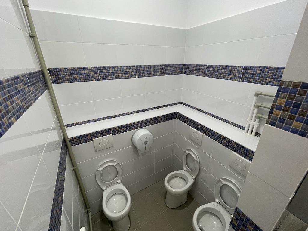 Republica Fantastică România: La Pitești, trei scaune de toaletă într-o ...