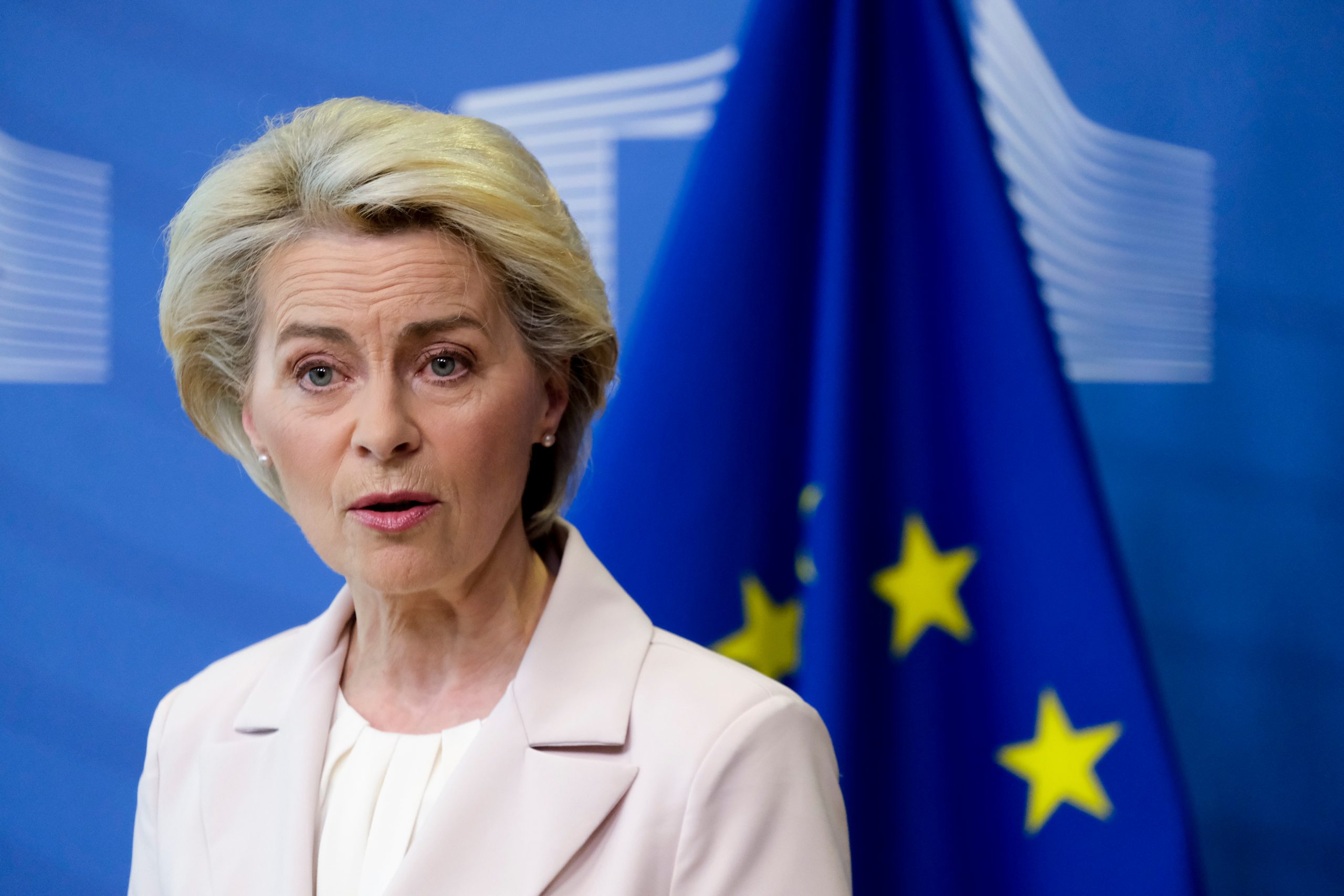Ursula von der Leyen: „Statele membre UE și companiile din energie să ...