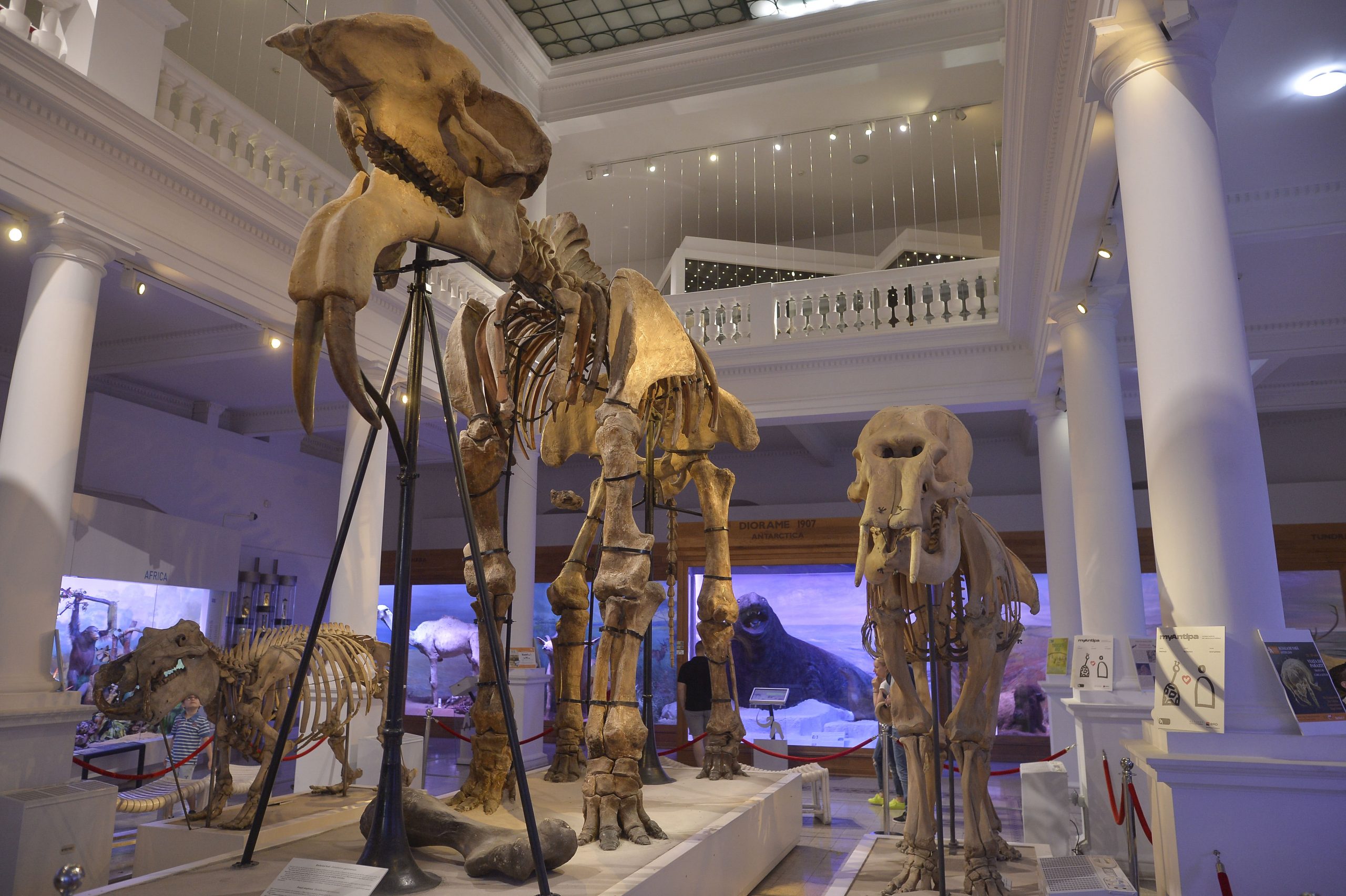 Intrare gratuită, marți, la Muzeul Antipa pentru toți cei care au nume ...