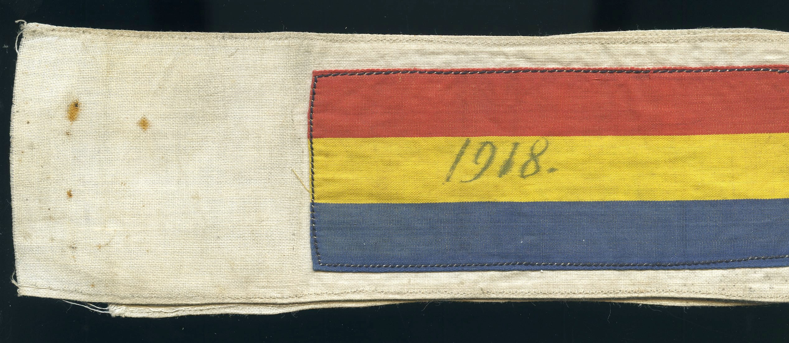 Albumul Marii Uniri va fi expus la Muzeul Național de Istorie a ...