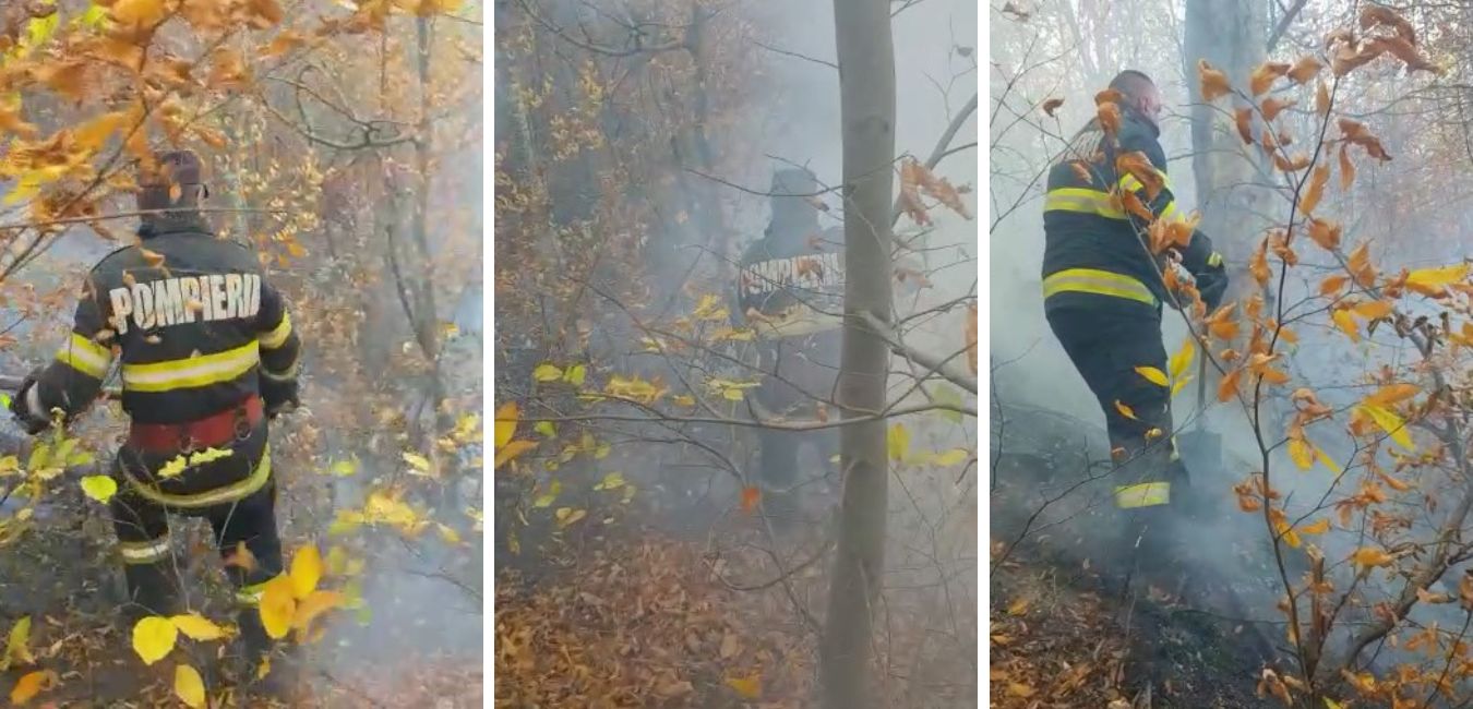 Incendiu de pădure în Vrancea. Flăcările au cuprins 50 de hectare de ...